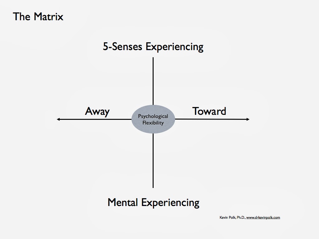 What is Psychological Flexibility?